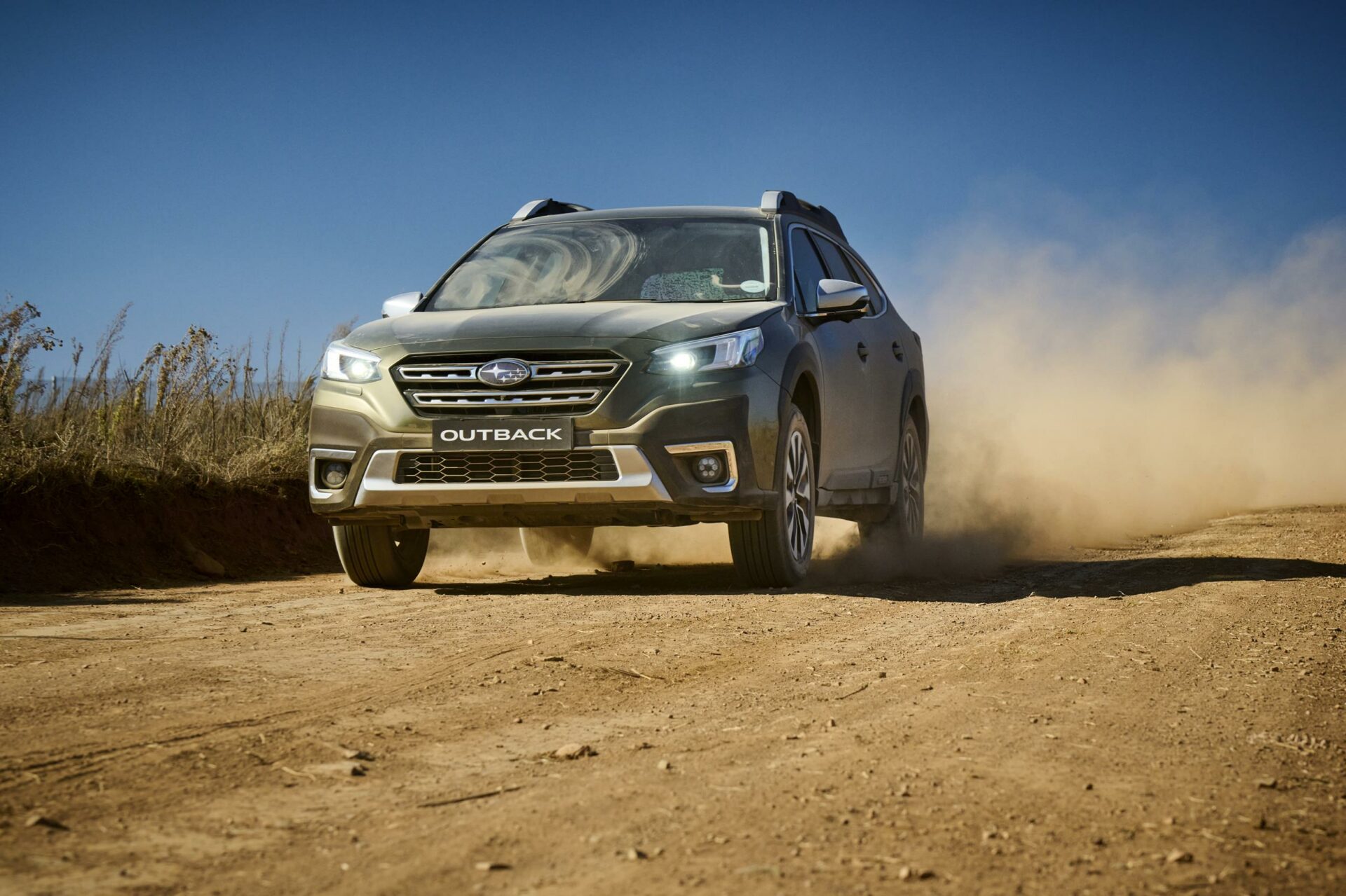 Why SUVs Are Rising in Popularity