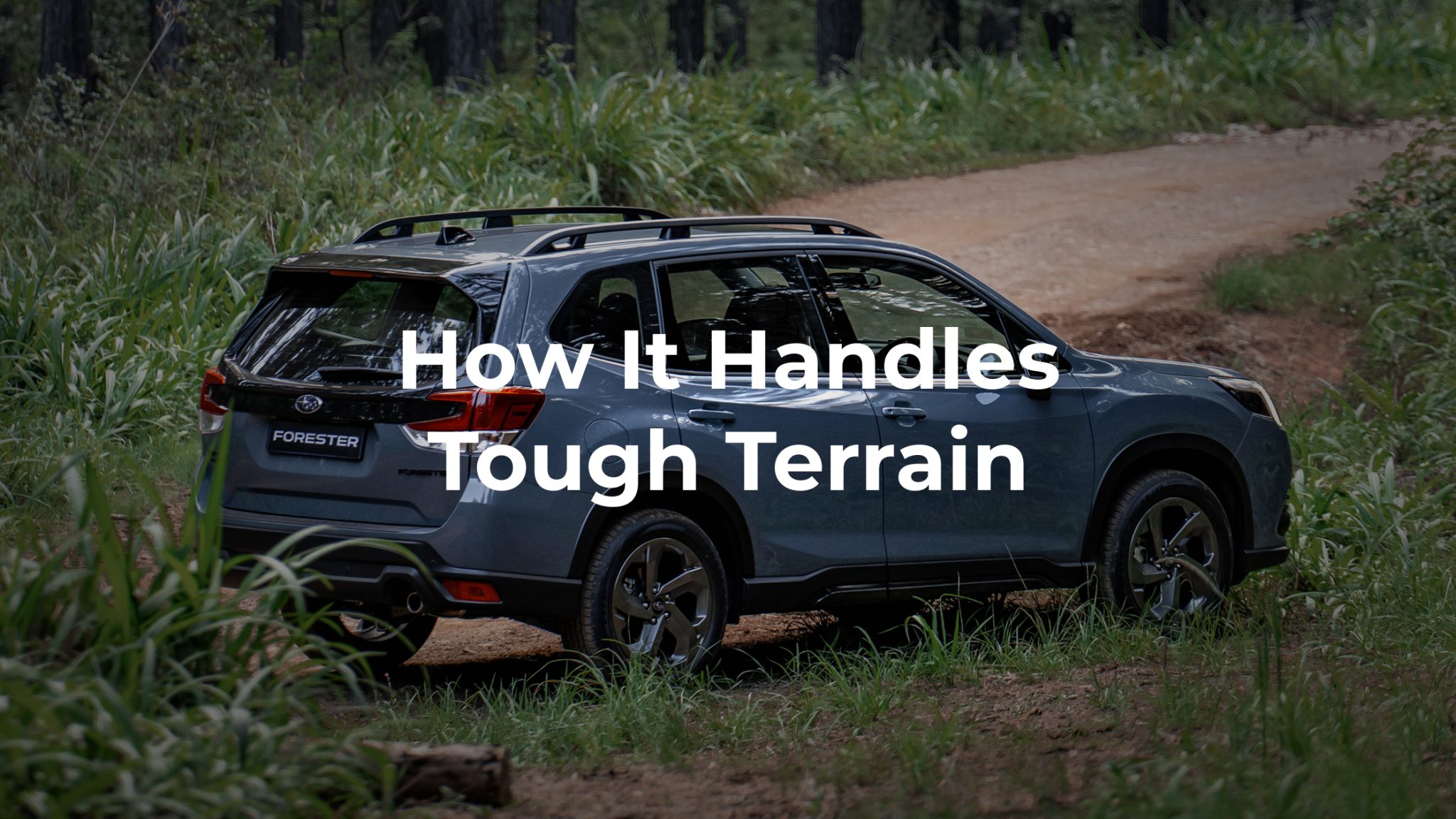 Subaru Forester Off-Road Capabilities: How It Handles Tough Terrain